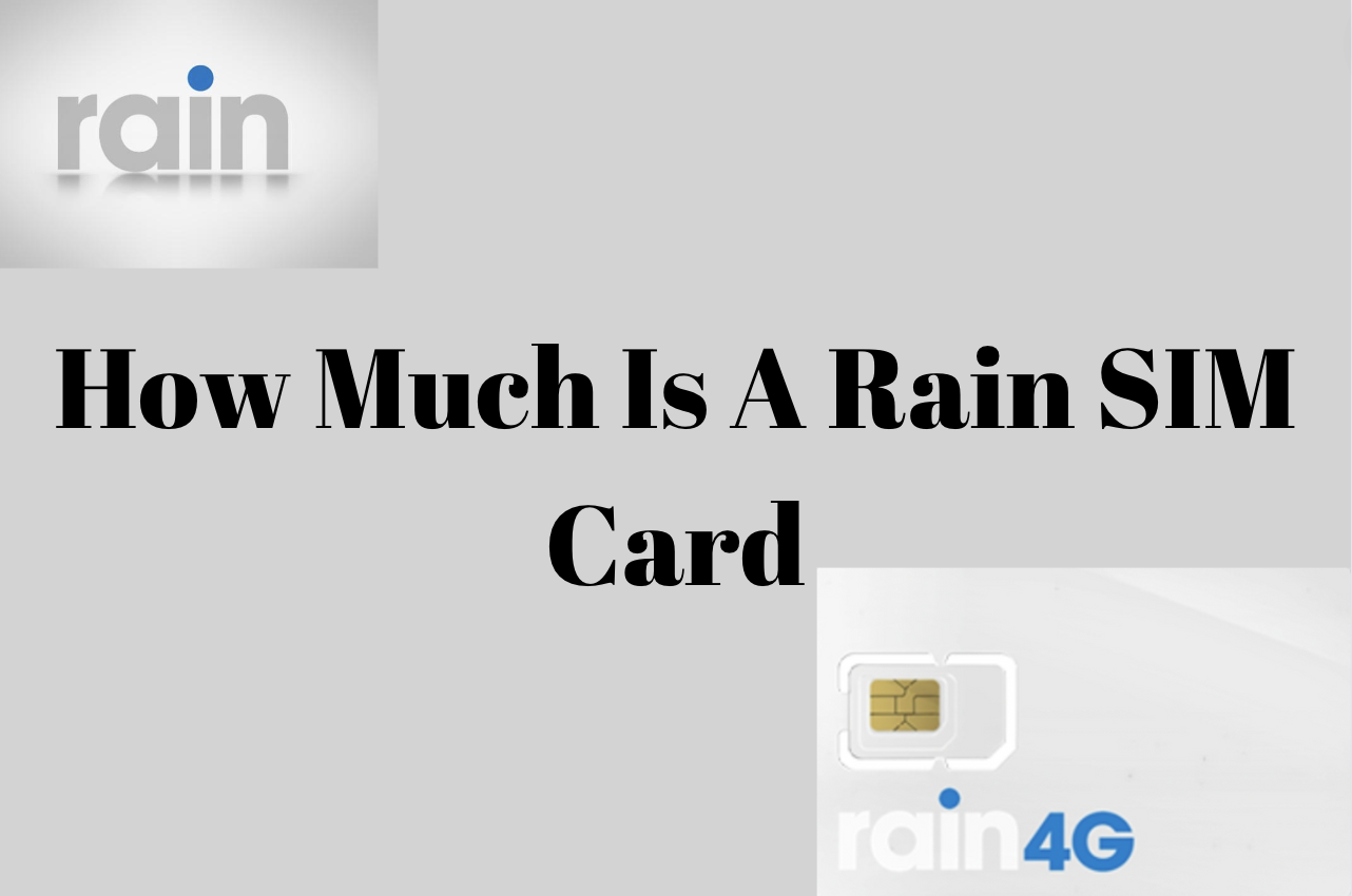 How Much Is A Rain SIM Card